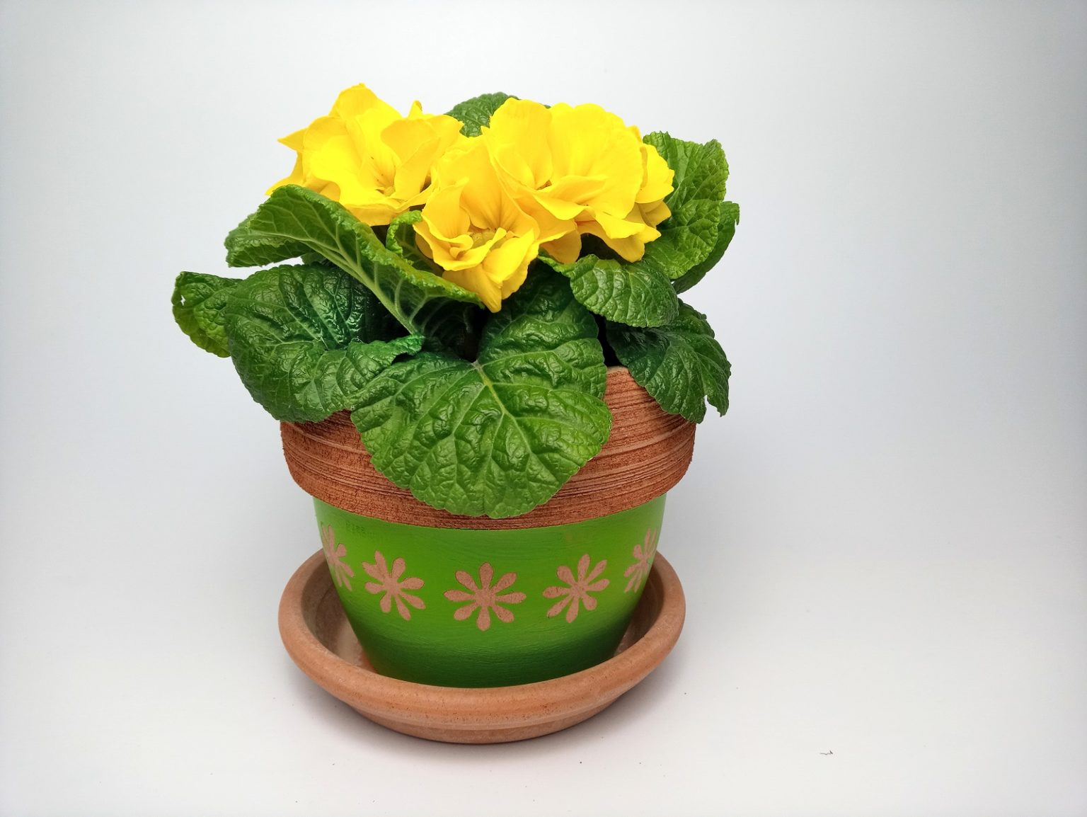 ÖtletesDoboz – Ötletes megoldások egy helyen